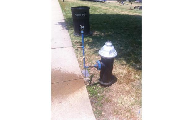 Drinking from the fire hydrant - 101qs